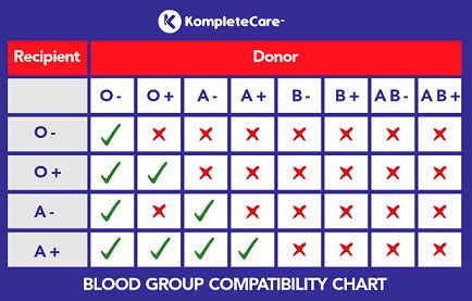 Best Blood Group Compatibility Chart For Marriage