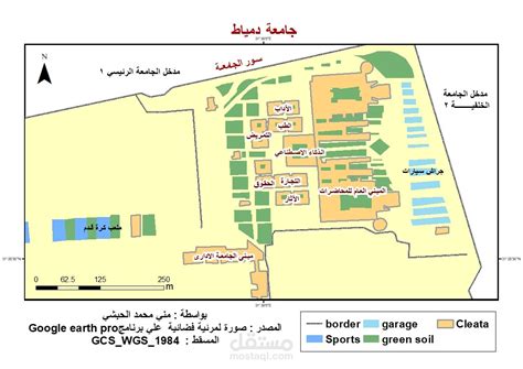 فني في Gis مستقل