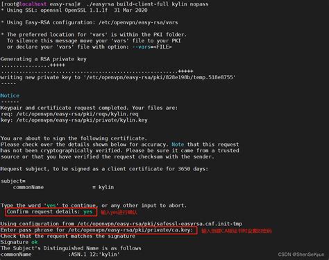 银河麒麟服务器操作系统v10sp2安装搭建openvp麒麟v10sp2 Csdn博客 银河麒麟服务器操作系统v10sp2安装搭建openvp麒麟v10sp2 Csdn博客