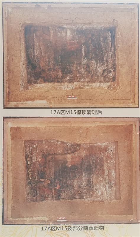 文明探源 出彩中原丨徐阳墓地发现8马3车 在河洛地区为首次发现 手机大河网