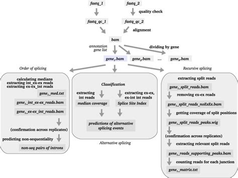 Splicepie A Novel Analytical Approach For The Detection Of