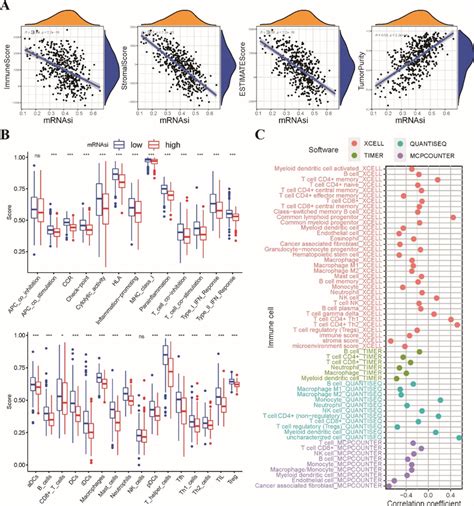 Correlation Between Stemness Index And Immune Landscape Of Tumor Download Scientific Diagram