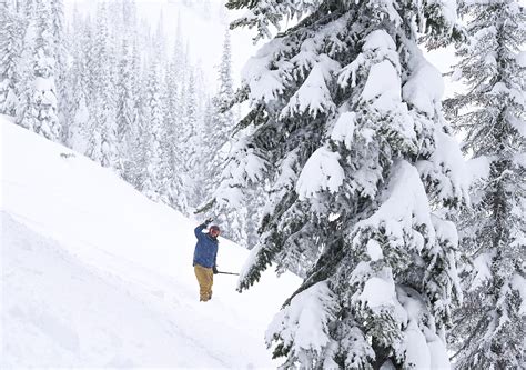 North Idaho Ski Resorts Thriving Bonner County Daily Bee