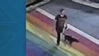Katie Janness Murder Case Reward Increased