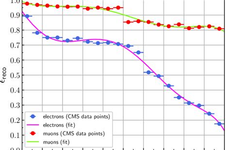 Electron And Muon Reconstruction Efficiencies As Extracted From The