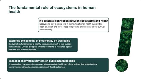 Forest Theme Powerpoint Template Autoppt