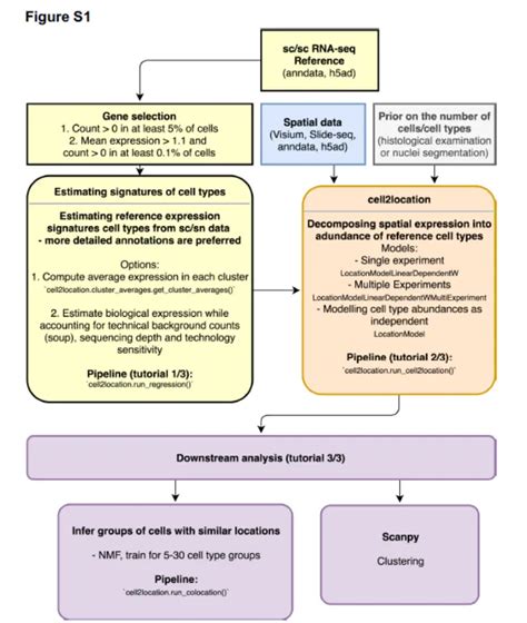 10x单细胞和空间联合分析的方法 Cell2location Csdn博客 10x单细胞和空间联合分析的方法 Cell2location Csdn博客
