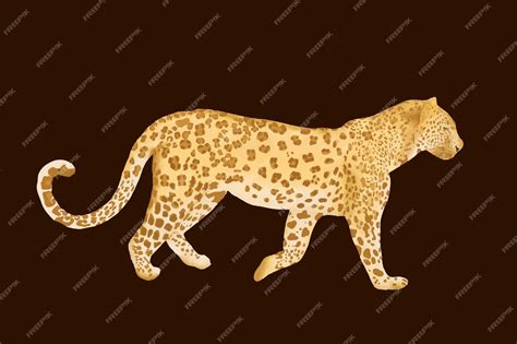 Premium Vector Leopard Vector Drawing Premium Vector Leopard Vector Drawing