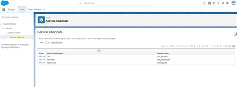 Queue Based Routing In Salesforce Pashtek