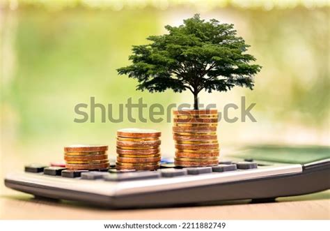 Stacked Gold Coins Tree Growing On Stock Photo Shutterstock