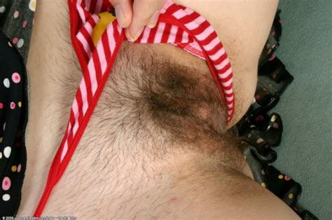 Josie Toby Atk Hairy