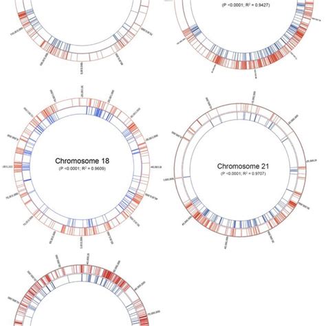 Circos Plots Showing Gene Density And Itls In Chromosomes 1 8 11 17