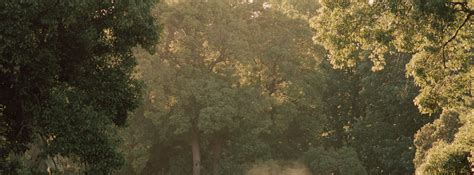 Process At Loop Bar Two Days To Go Make Sure You Book A Ticket To