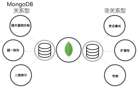 Mongodb数据库 Tankjam 博客园