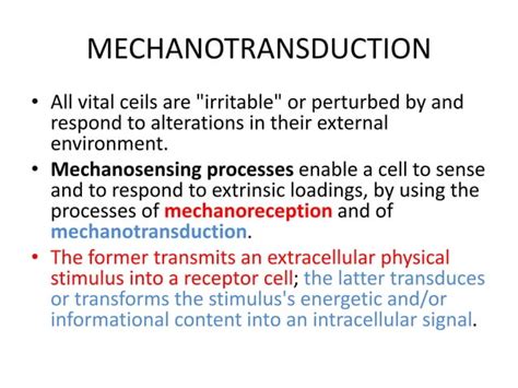 Functional Matrix Hypothesis Revisited PPTX