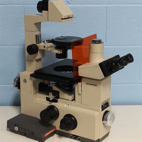 Inverted Image Microscope At Katie Kendall Blog