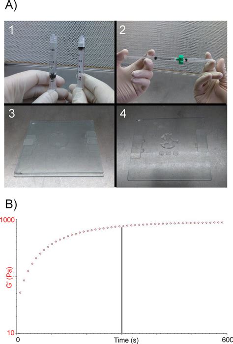 A Detailed Procedure Of Alginate Hydrogels Preparation 1 1 5