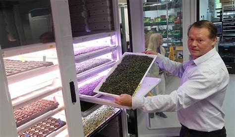 식용 꽃 1kg이 1000달러에 팔린다고”돈 되는 수직농장 호주 애그테크 Now