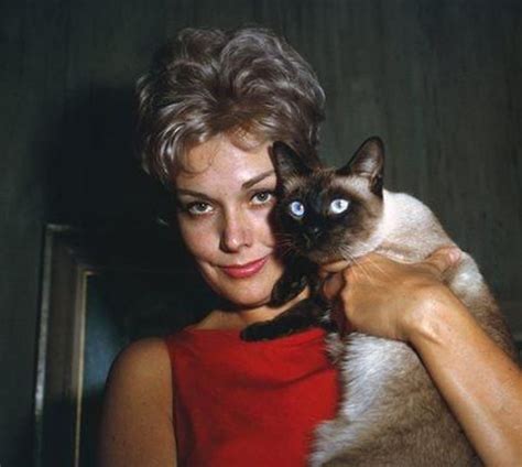 20 Lovely Photos Of Kim Novak With Her Cat Pyewacket In Bell Book