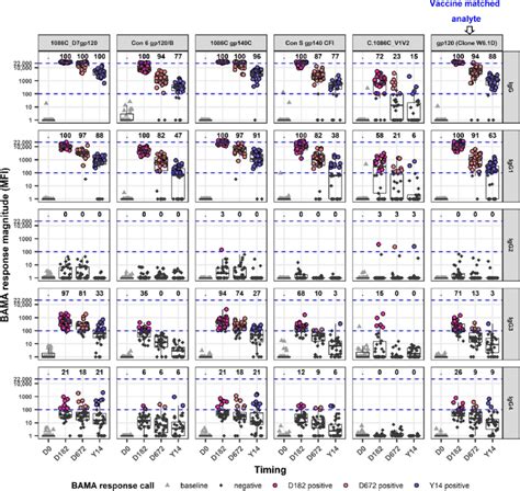 Distribution Of Total Igg Igg1 Igg2 Igg3 And Igg4 Bama Response Download Scientific Diagram