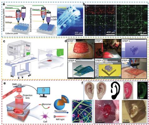 Multimaterial Hybrid 3d Bioprinting A Schematic Of The Hybridization
