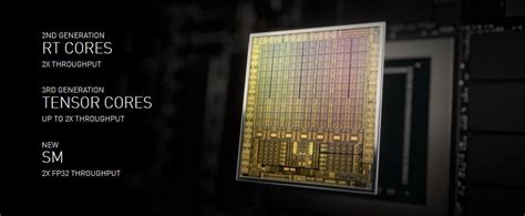 AMD Vs Nvidia Which Is Better Updated 2025 Gaming Gorilla