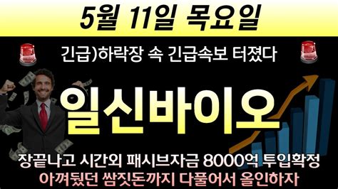 일신바이오 🚨긴급 장마감 후 이게왜 8000억 패시브자금 터졌다 금반지 팔아서라도 풀매수 때려라 금양 바이오니아 삼화전기 Eg Youtube