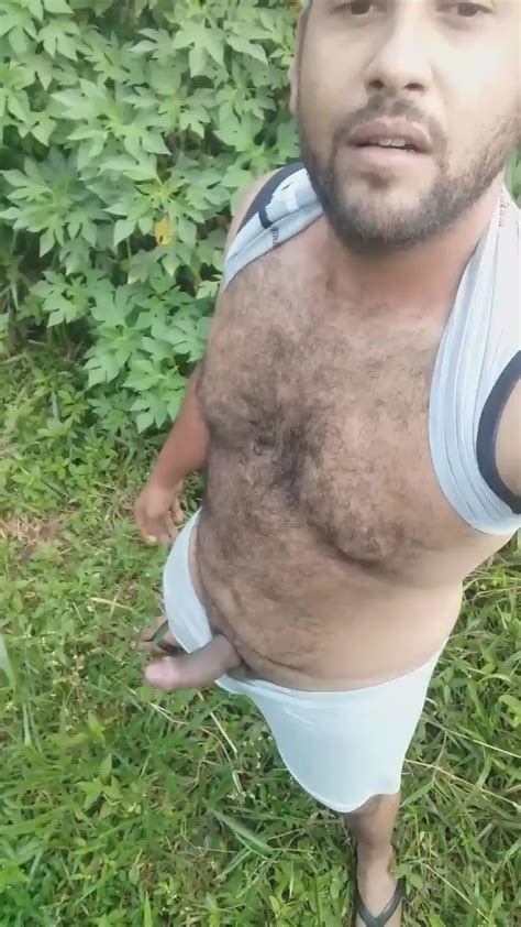 Bear Pissing 2 ThisVid Com