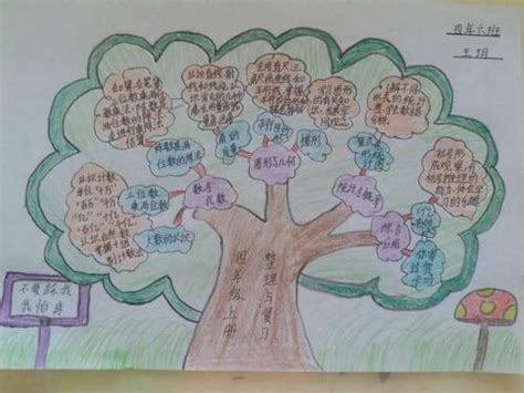 小学四年级下册数学知识树手抄报 数学知识树手抄报 普车都