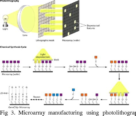 Figure 3 From Introduction Of An Active Dna Microarray Fabrication For