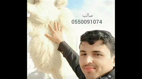 سالب اجنبي Youtube