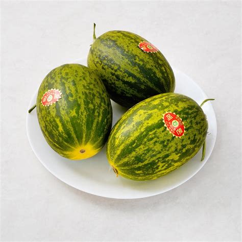 파파야 멜론 메가마트몰