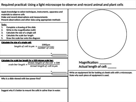 Required Practical Revision Mat Using A Light Microscope Teaching Resources