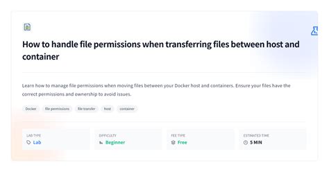 How To Handle File Permissions When Transferring Files Between Host And Container Labex