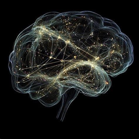 Free Illuminated Neural Network Image Download At Stockcake