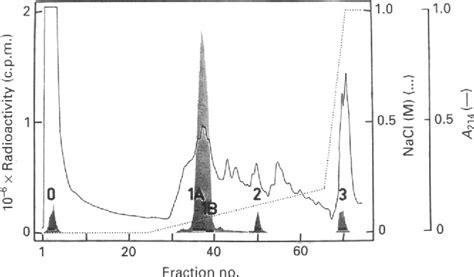 Figure 1 From The 50 Kda Protein Subunit Of Assembly Polypeptide Ap Ap 2 Adaptor From Clathrin