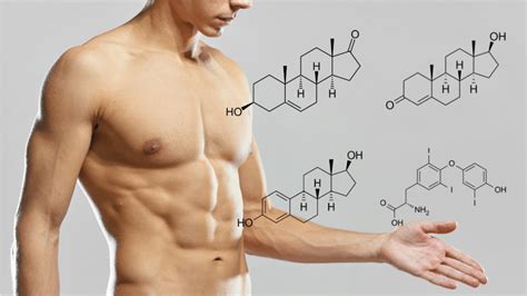 เรื่องน่ารู้เกี่ยวกับประวัติศาสตร์ออรัลเซ็กซ์ Oral Sex ตั้งแต่อดีตถึงปัจจุบัน