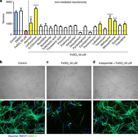Systematic Screening Of Generic Drugs For Progressive Multiple Sclerosis Identifies Clomipramine