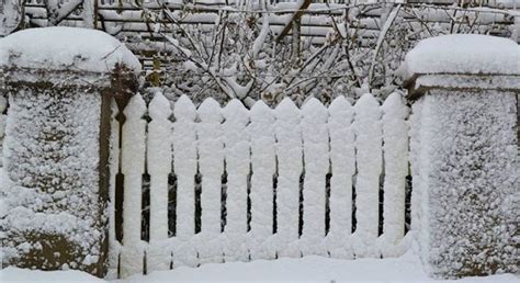 თოვლი წვიმა ქარბუქი როგორი ამინდია მოსალოდნელი შაბათ კვირას