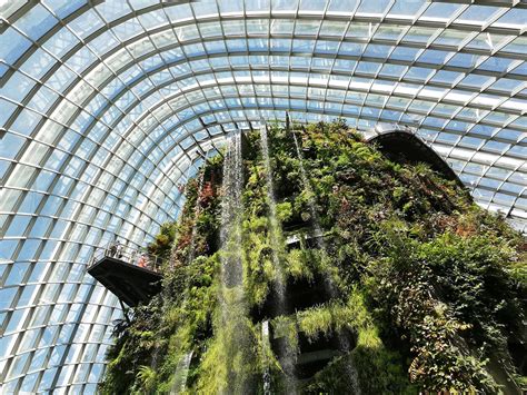 Huawei P Vs P Lite Camera Shootout Gadgetmatch