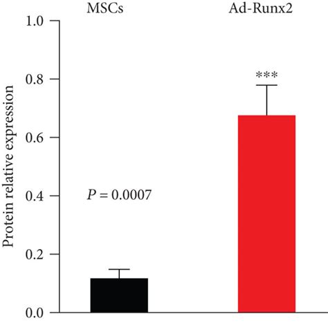 Ad Runx2 Transfection Efficiency And Exosome Characteristics A The Download Scientific
