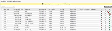 Installing Eg Java Btm On Glassfish