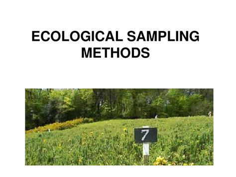 Ppt Ecological Sampling Methods Powerpoint Presentation Free Download Id 4206818