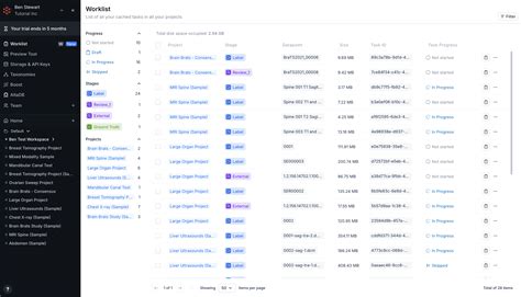 Worklist Redbrick Ai Docs