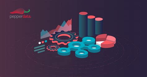 Maximizing Big Data Value With Pepperdatas Big Data Stack Optimization