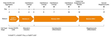 Stemdiff™ Megakaryocyte Kit Stemcell Technologies