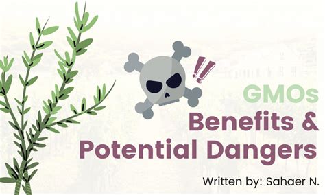 Gmo Benefits And Potential Dangers Youth In Food Systems