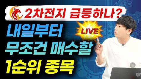 현대차 2차전지 급등하나에코프로posco홀딩스lg전자에코프로비엠lg화학포스코퓨처엠hmm일진홀딩스관심주주식
