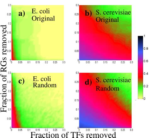 Clustering Coefficient Profiles For The Tf Projected Networks Under