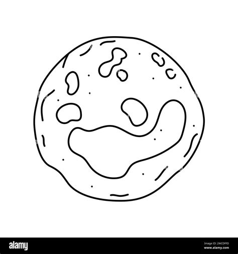 Traditional Indian Food Chapati Color Element Cartoon Street Food Isolated Vector Illustration